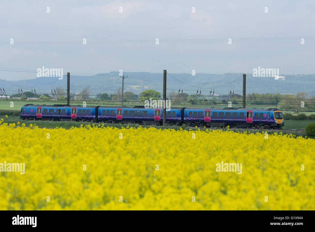 Raskelf hi-res stock photography and images - Alamy