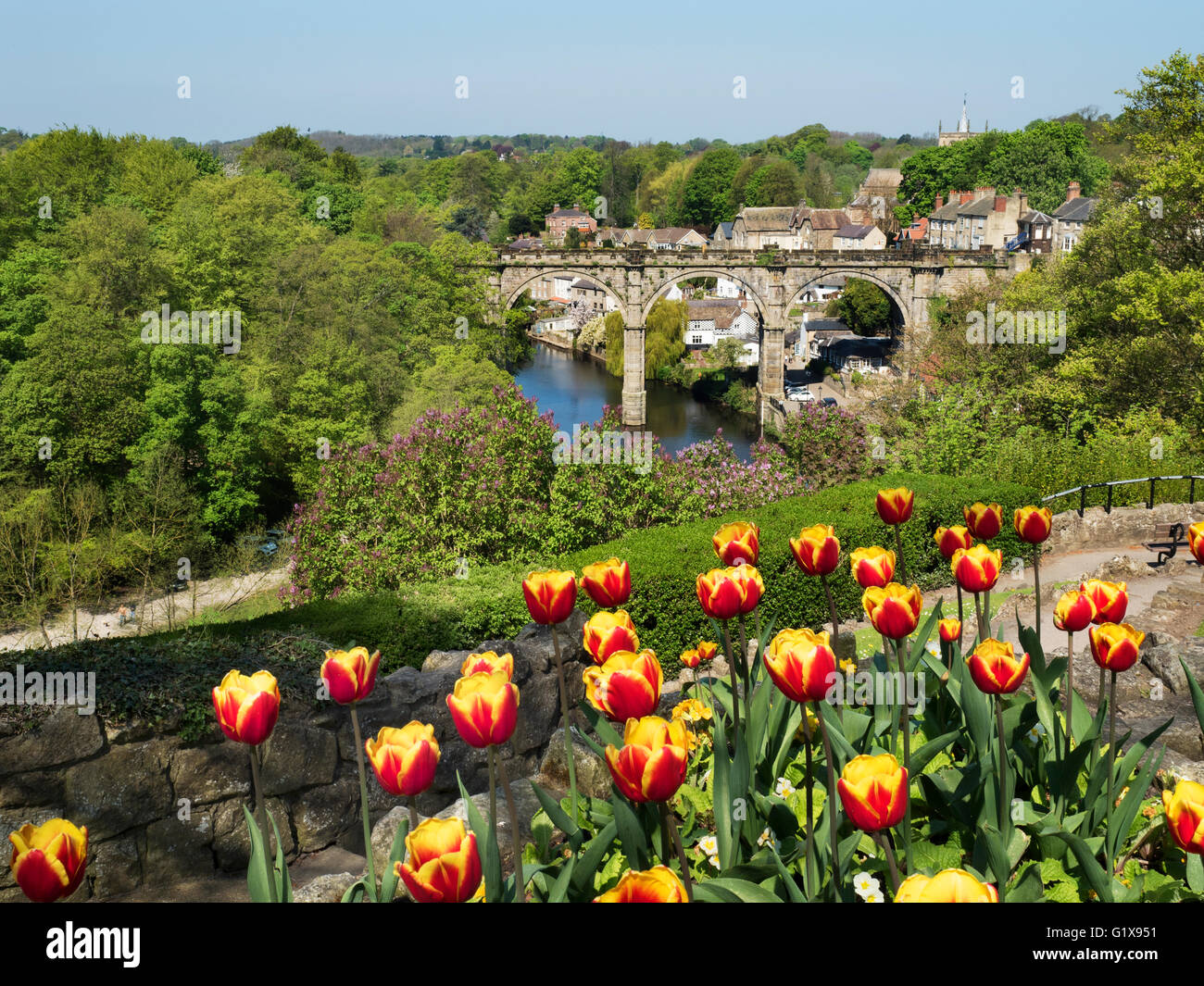 Tulip viaduct hi-res stock photography and images - Alamy