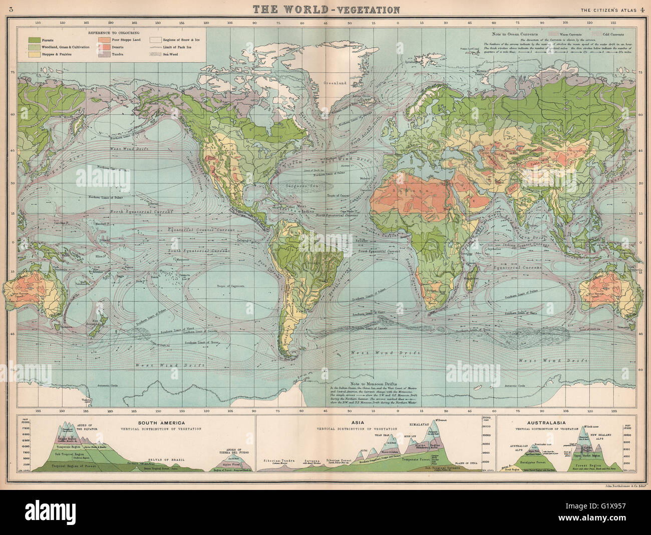 WORLD VEGETATION & OCEAN CURRENTS & vertical distribution of vegetation ...