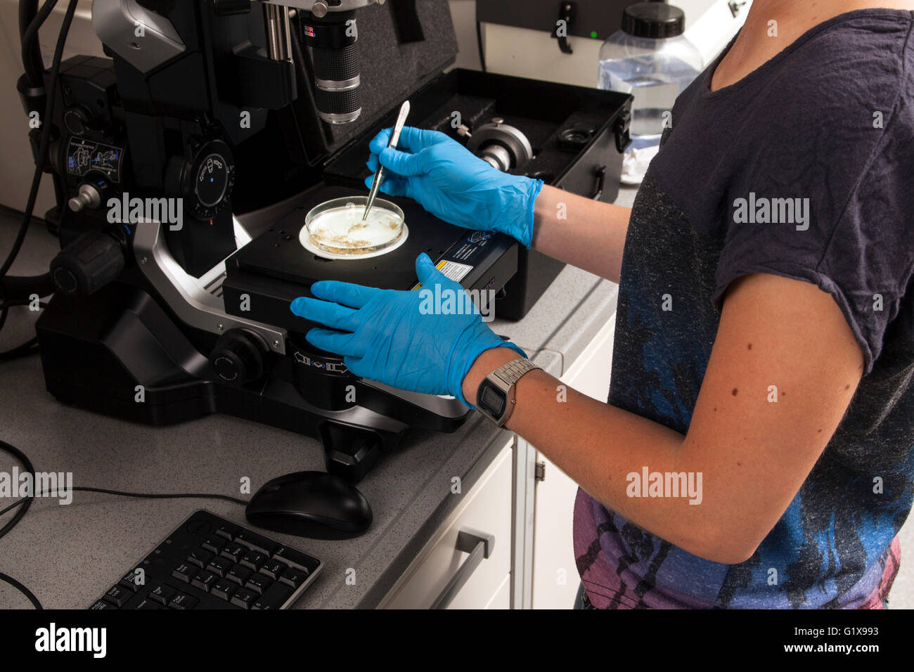 Rubber under microscope hi-res stock photography and images - Alamy