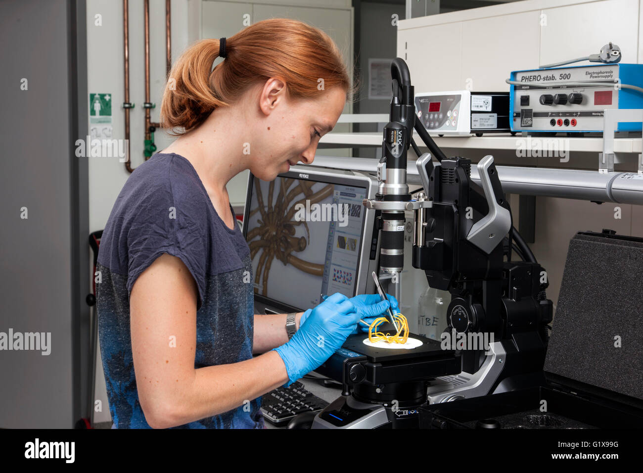 Rubber under microscope hi-res stock photography and images - Alamy