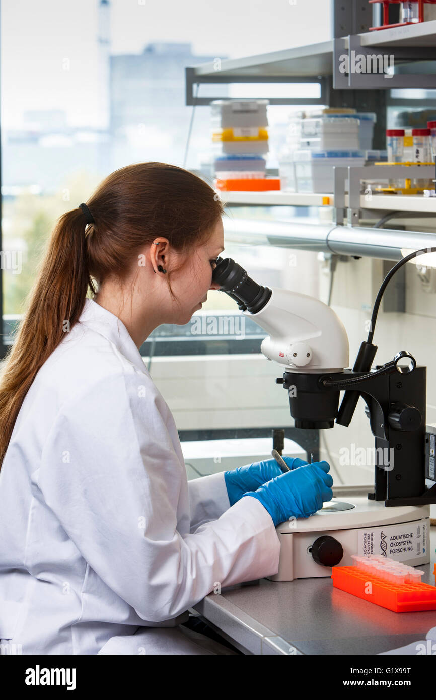 Lab technician using microscope hi-res stock photography and images - Alamy