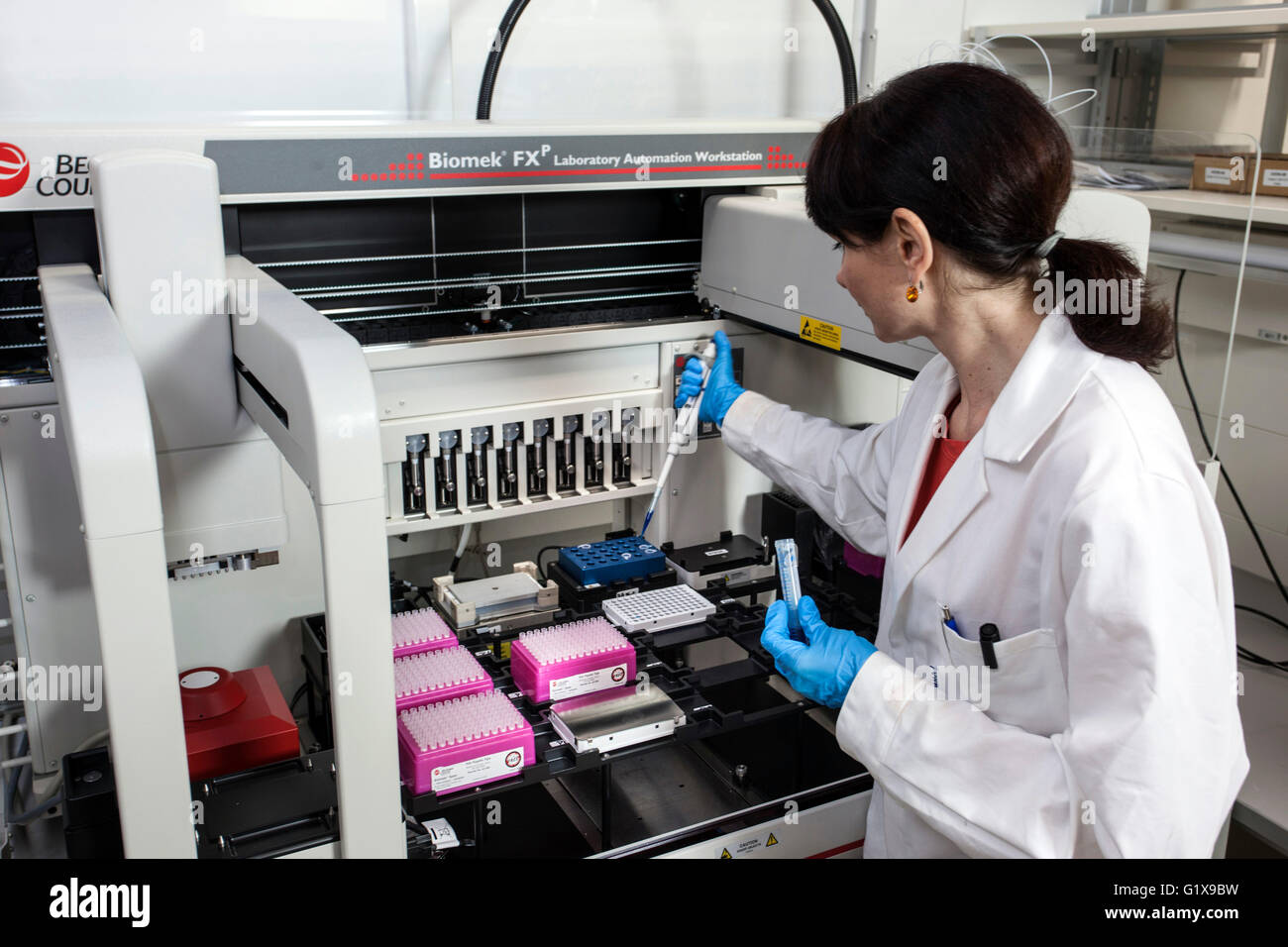 Scientific associate in genetics lab at a pipetting robot Stock Photo ...