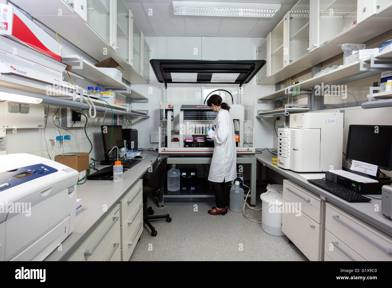 Scientific associate in genetics lab at a pipetting robot Stock Photo ...