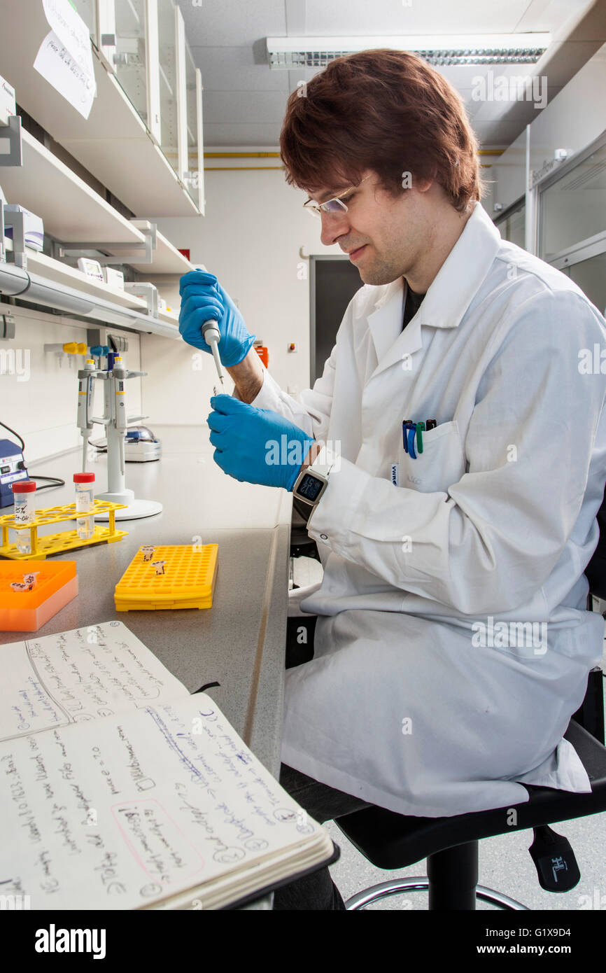 Conduct research hi-res stock photography and images - Alamy