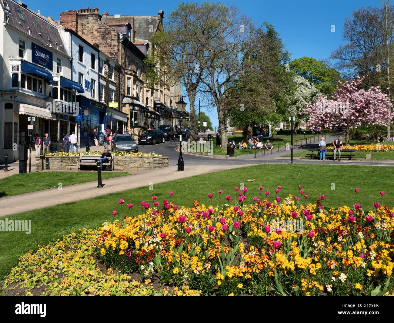 Spring flowers in the Montpellier Quarter at Harrogate North Yorkshire ...