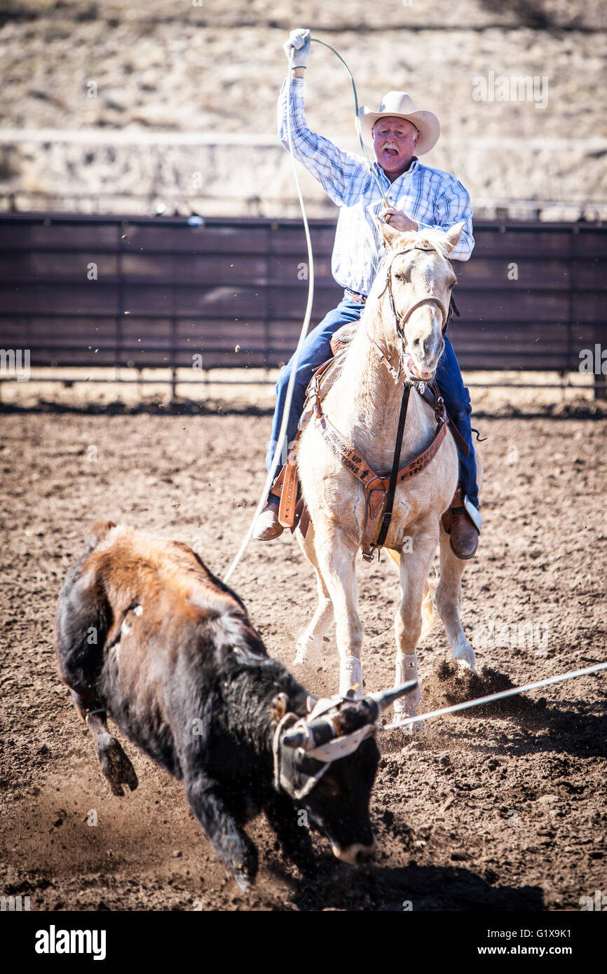 Team rope hi-res stock photography and images - Alamy