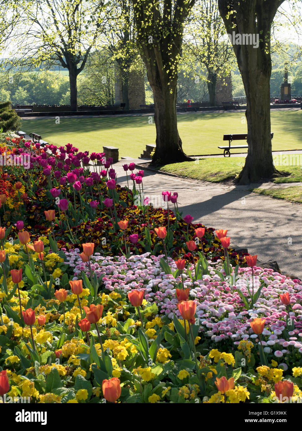 Spring Flowers in the Castle Grounds at Knaresborough North Yorkshire ...