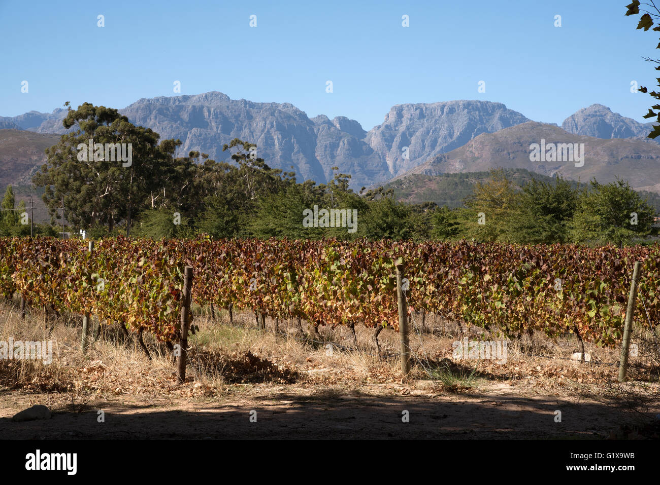 Groot drakenstein mountains hi-res stock photography and images - Alamy