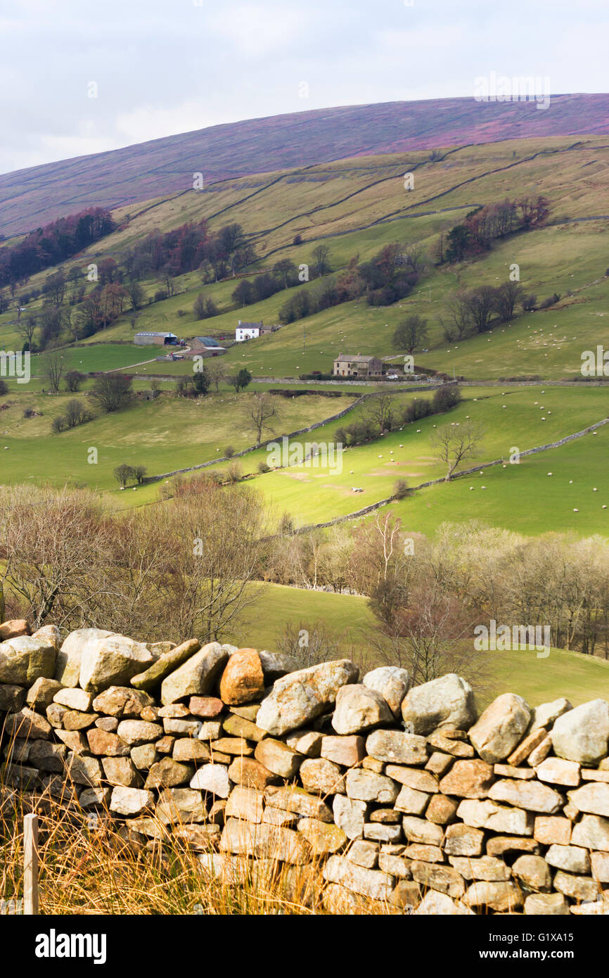 Dentdale, Yorkshire Dales National Park, Cumbria, England Stock Photo ...