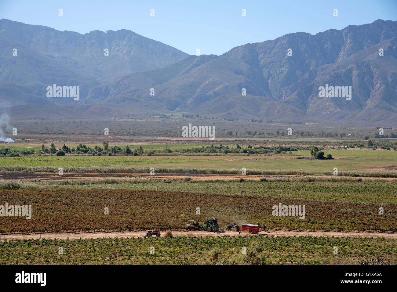 Worcester western cape hi-res stock photography and images - Alamy