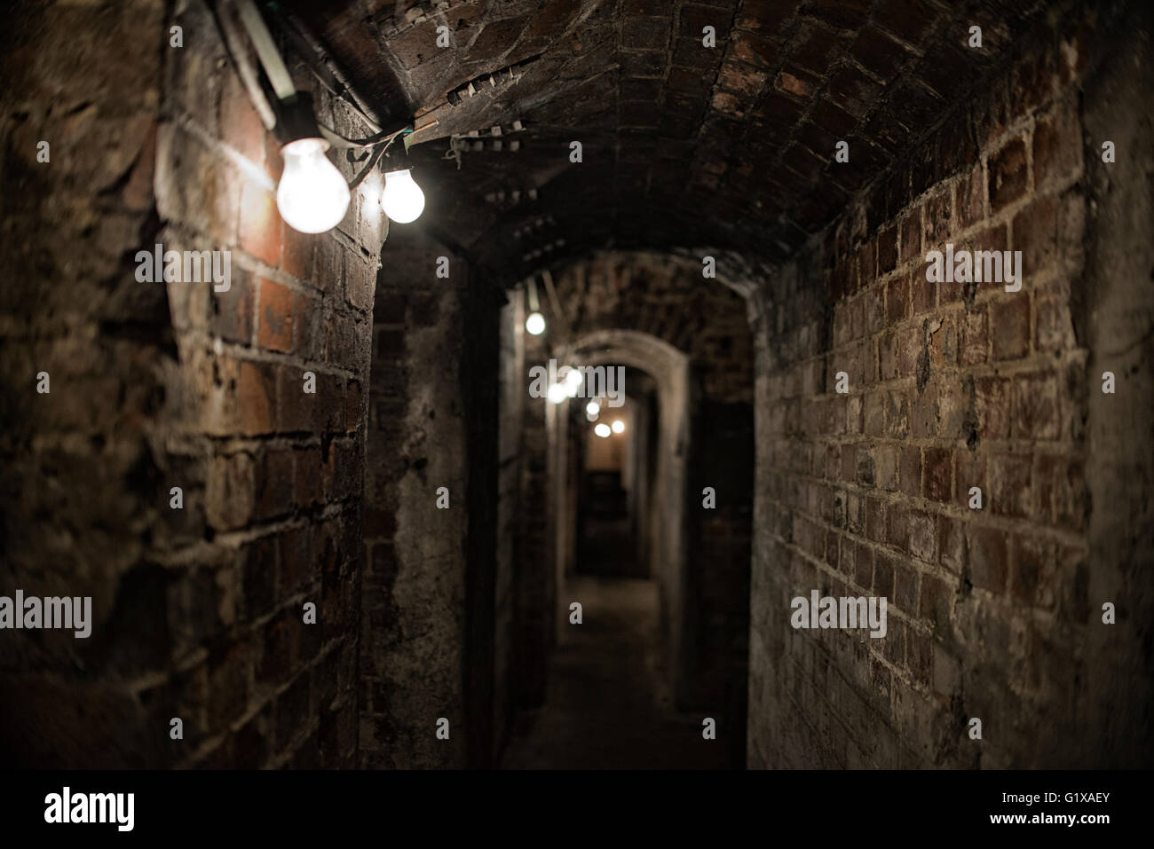 Infinity wine cellar hi-res stock photography and images - Alamy