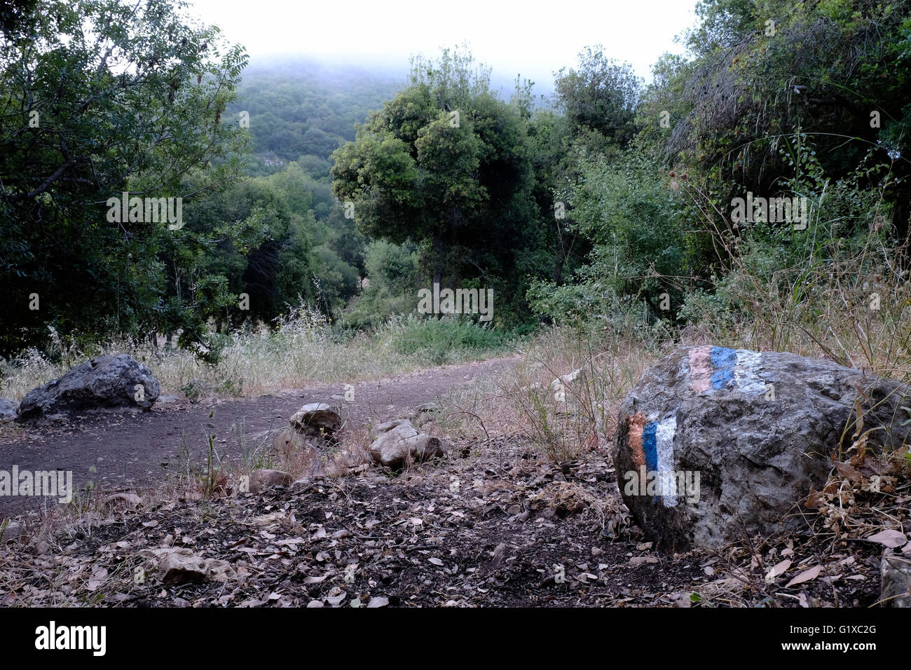 Sign And Marker For Hikers Trekking Israel's National Trail in Meiron ...