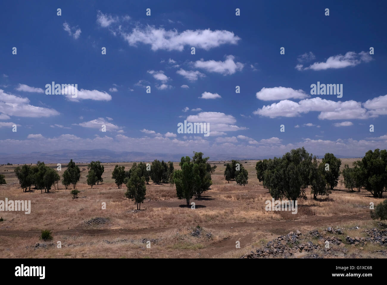 View of the fields in Hushniya a former Syrian village in the Golan ...