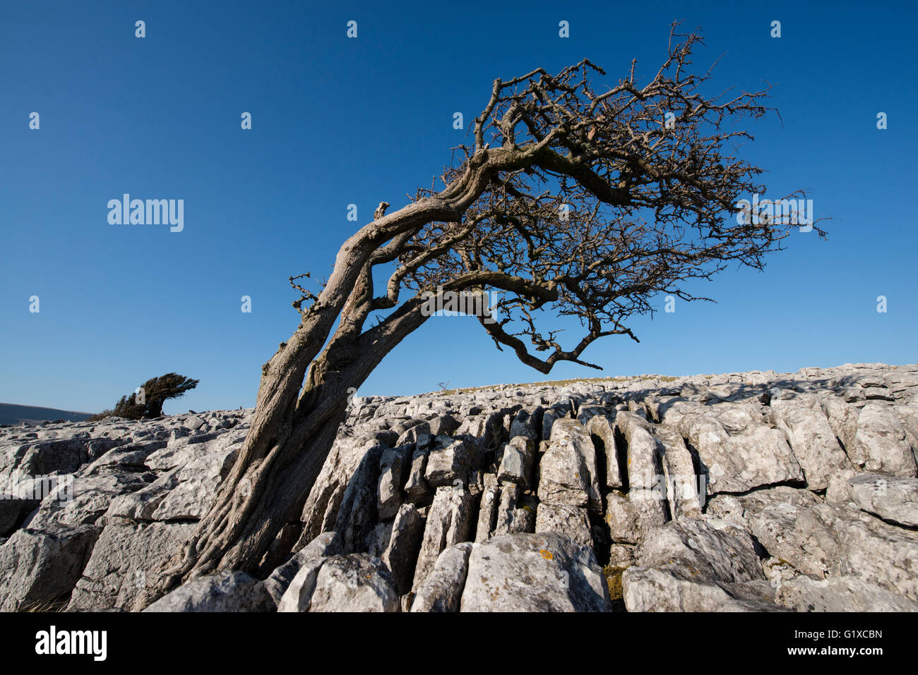 Limestone Fissures High Resolution Stock Photography and Images - Alamy