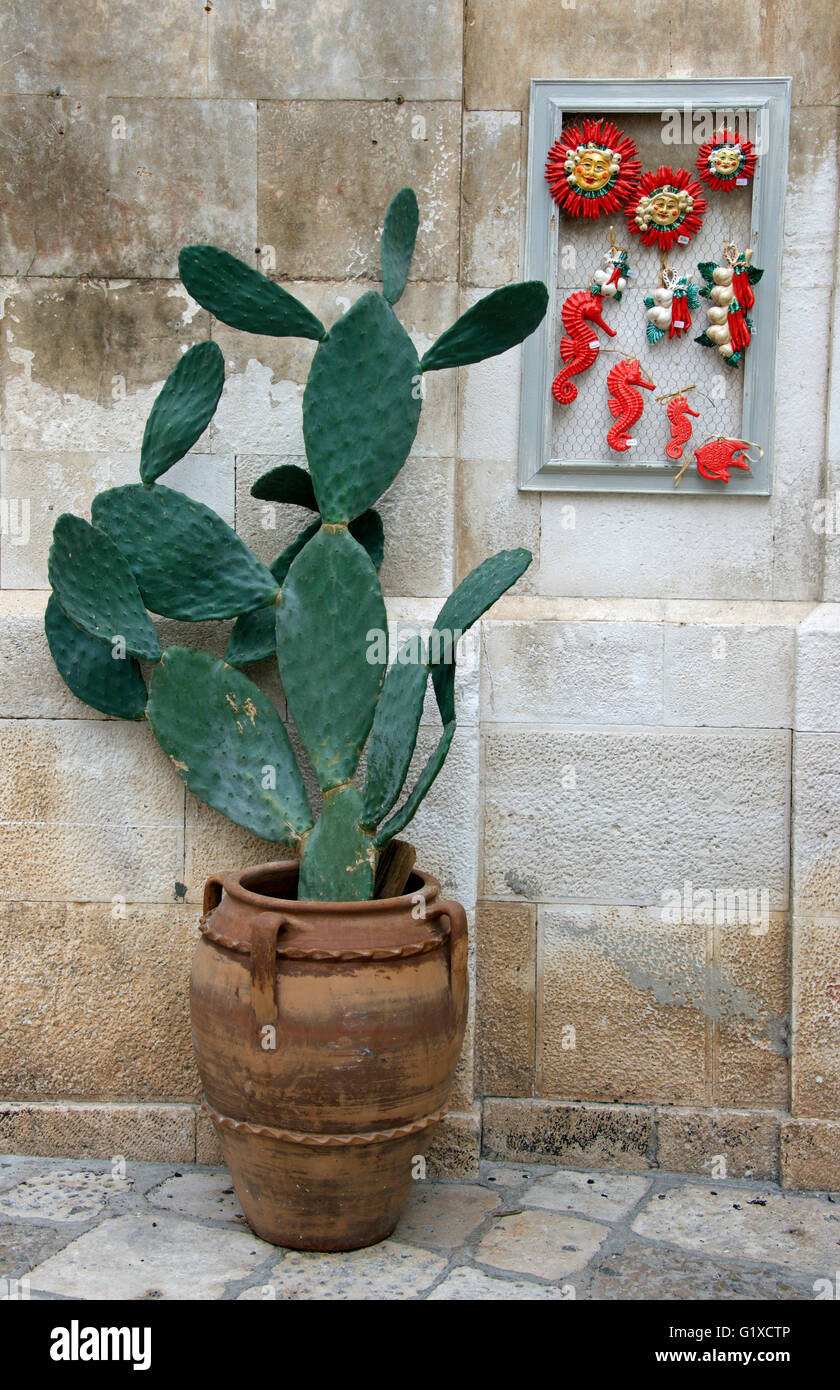 Cactus and little shop display, Polignano a Mare Stock Photo - Alamy