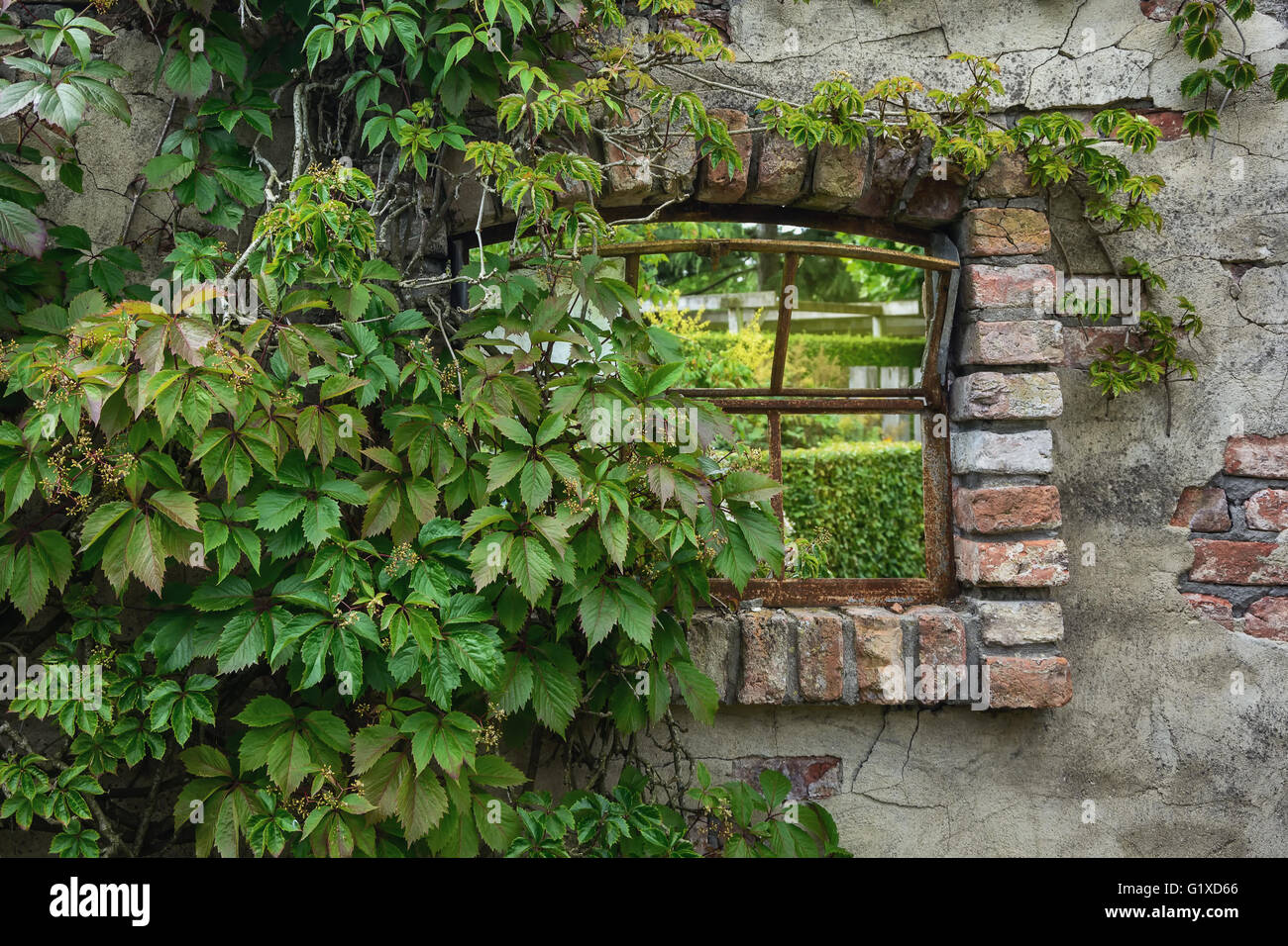 Old window overlooking the garden Stock Photo - Alamy