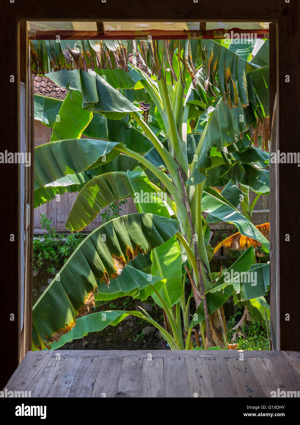 View from a restaurant window in Yogyakarta, Java, Indonesia Stock ...