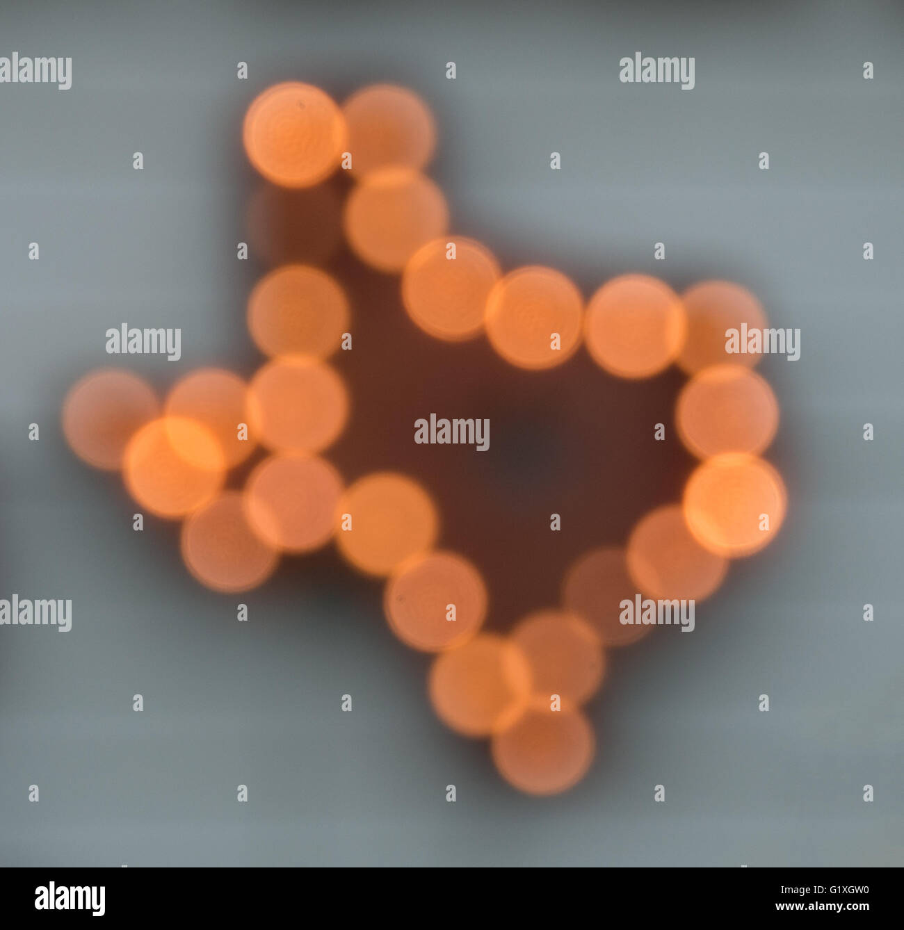 Texas state outline hi-res stock photography and images - Alamy