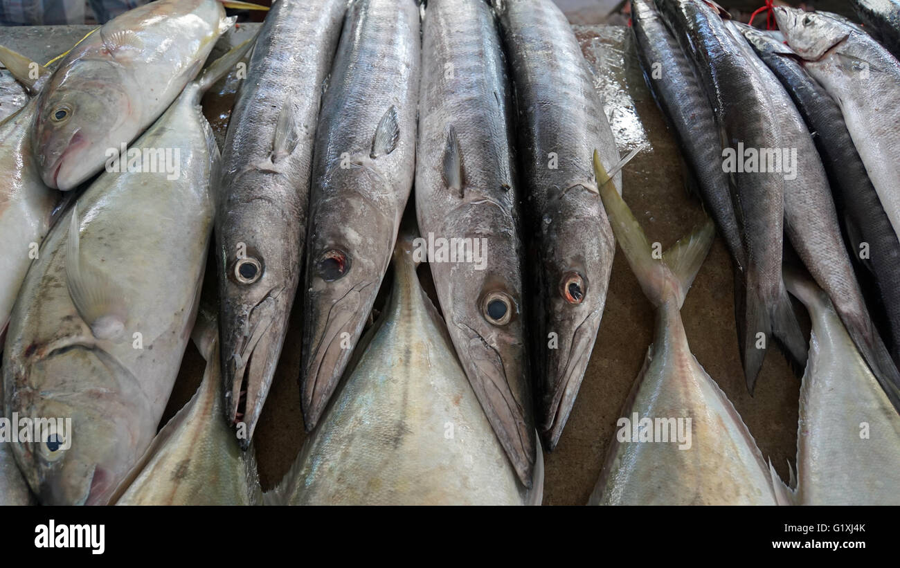 Victoria fish market mahe island hi-res stock photography and images ...
