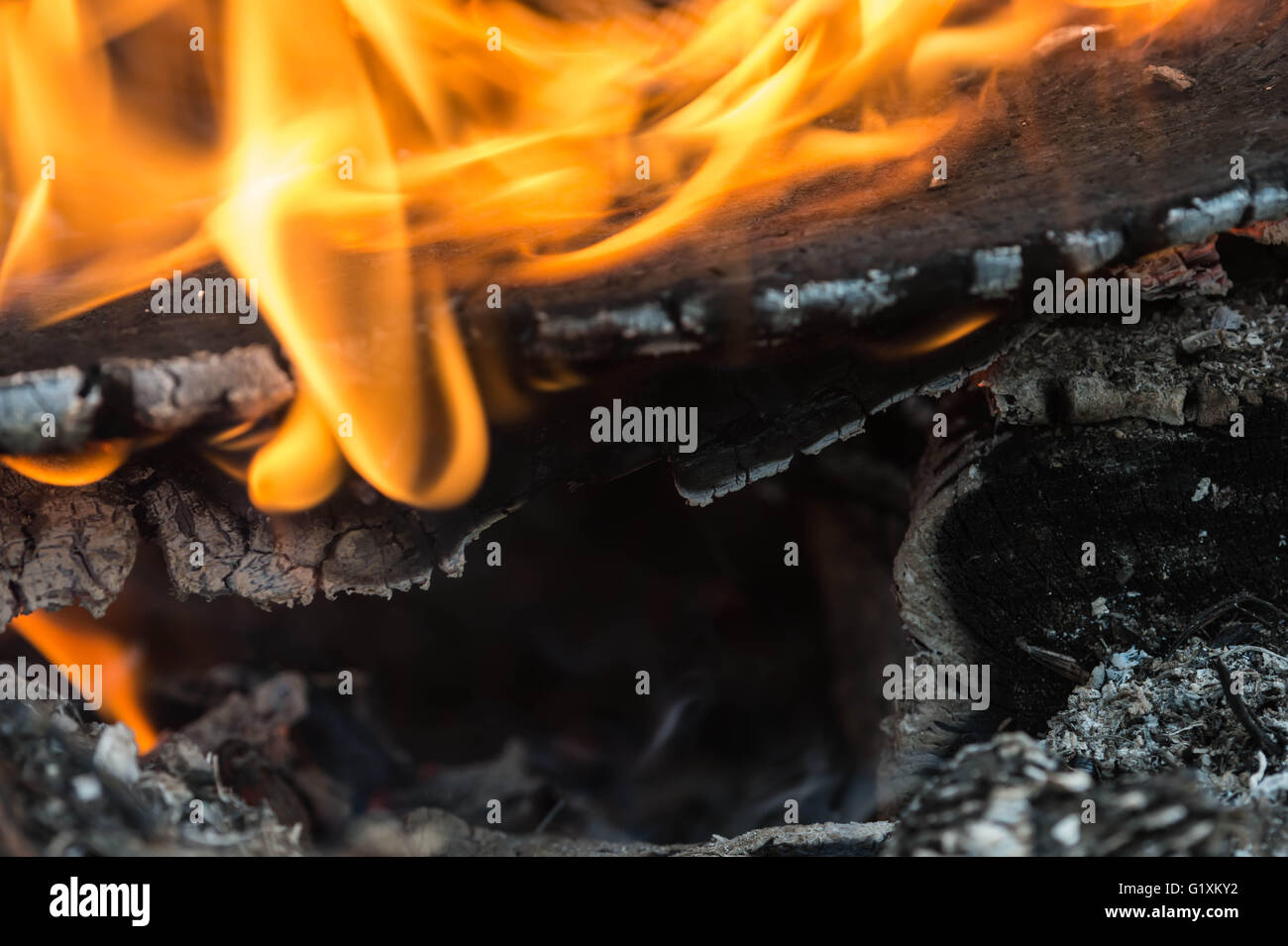 Bright flame of the burning bonfire Stock Photo - Alamy