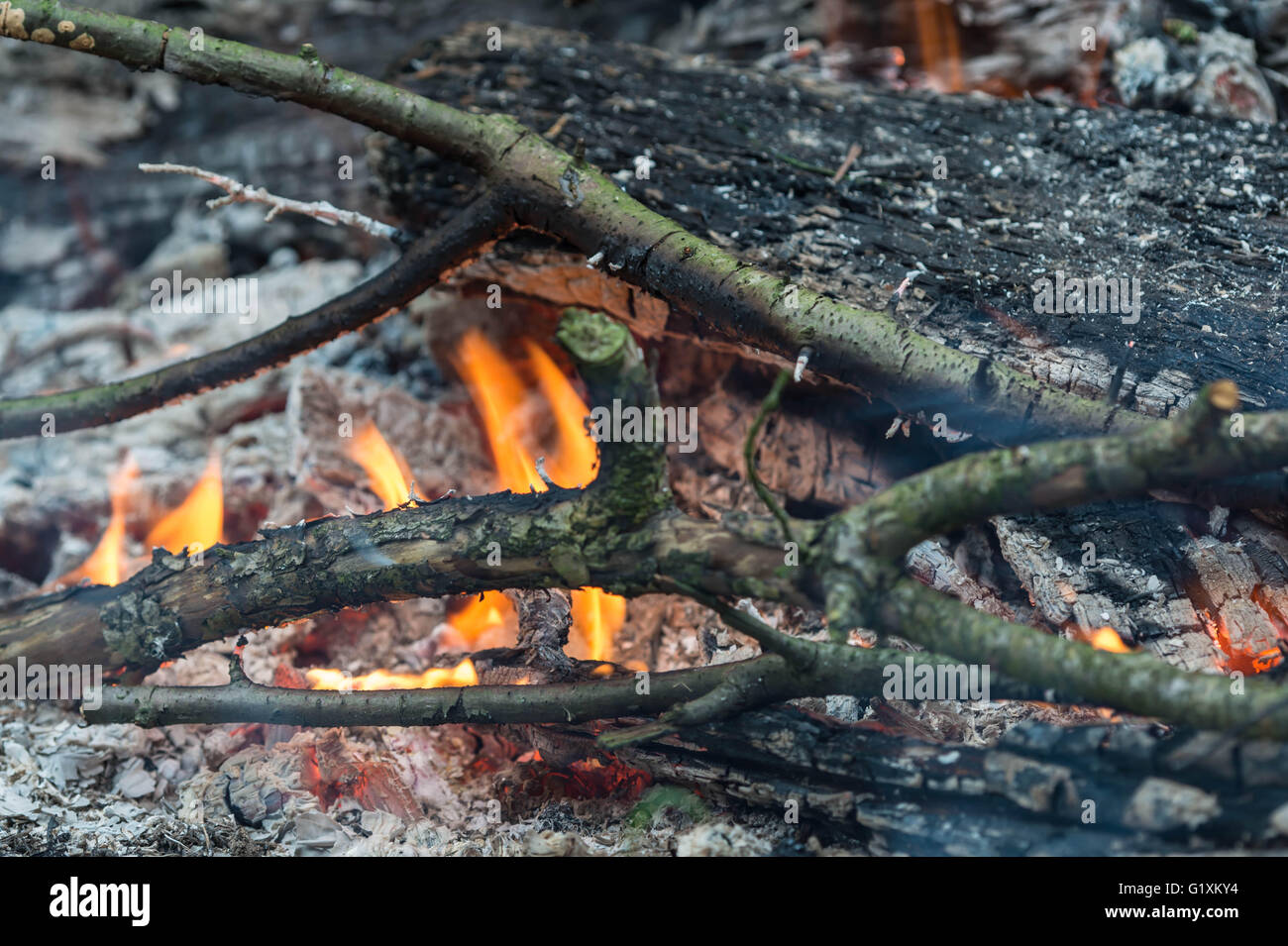 Branches and wood in the fire close up Stock Photo - Alamy