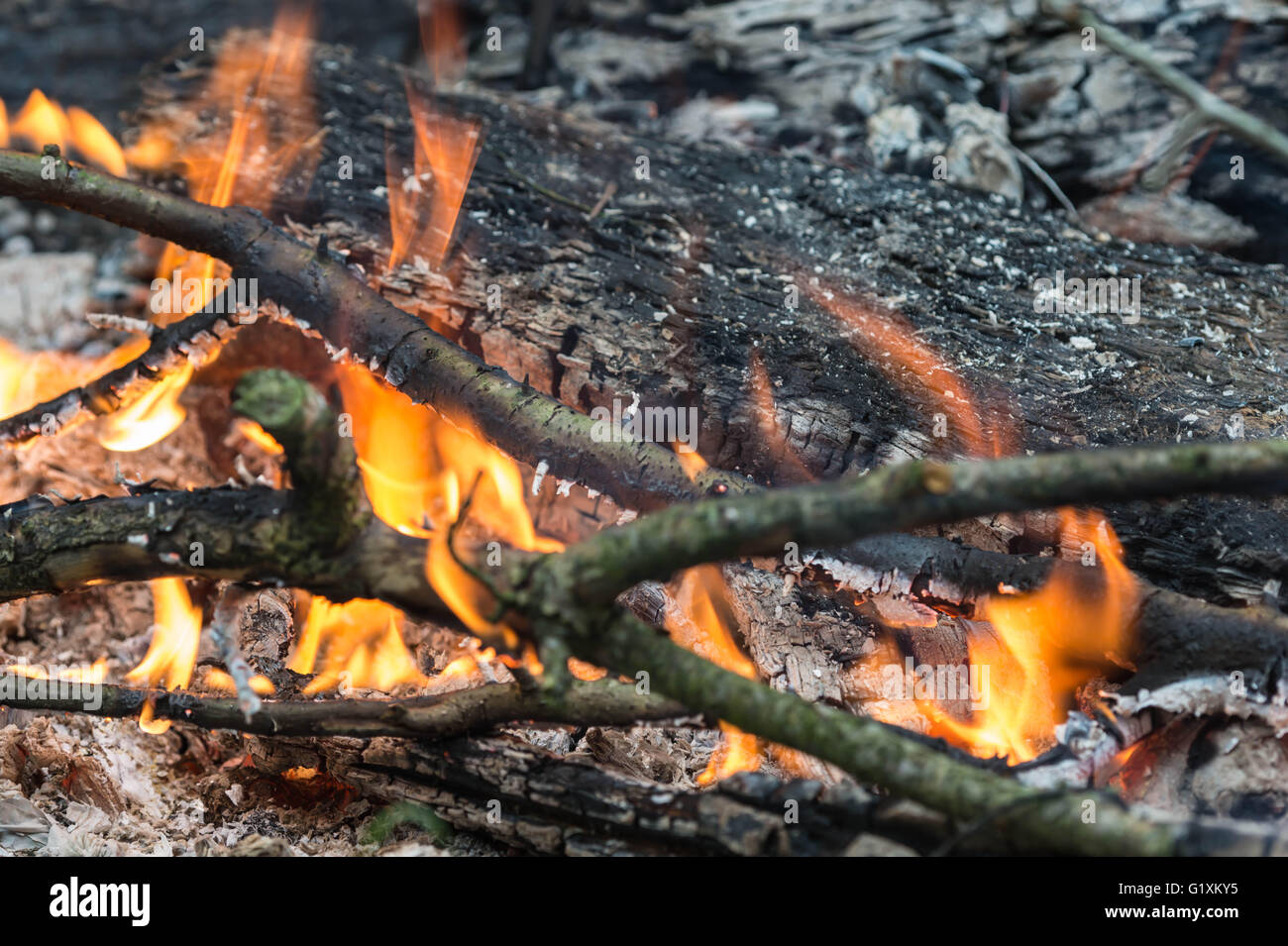 Branches and wood in the fire close up Stock Photo - Alamy