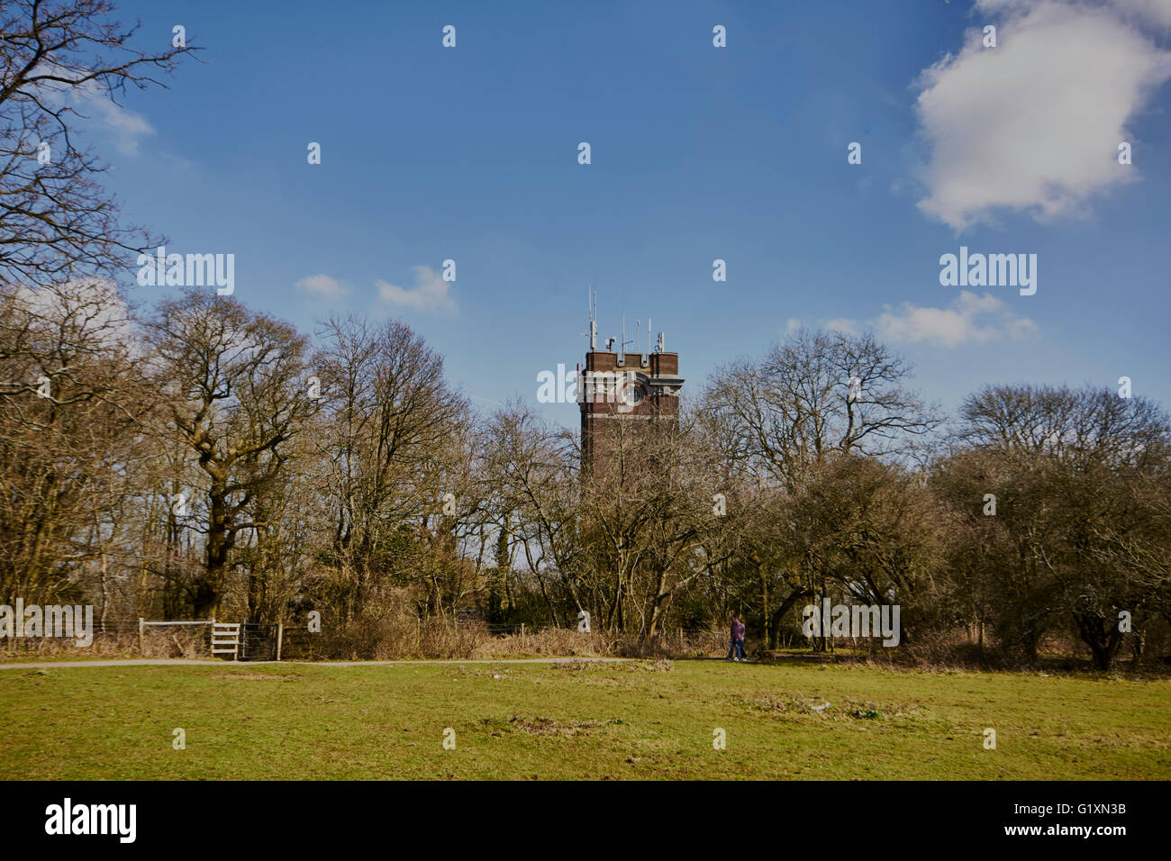 Top of water tower showing above trees Stock Photo - Alamy