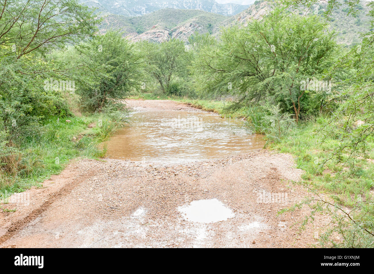 The road through the wilderness area in the Baviaanskloof (baboon ...