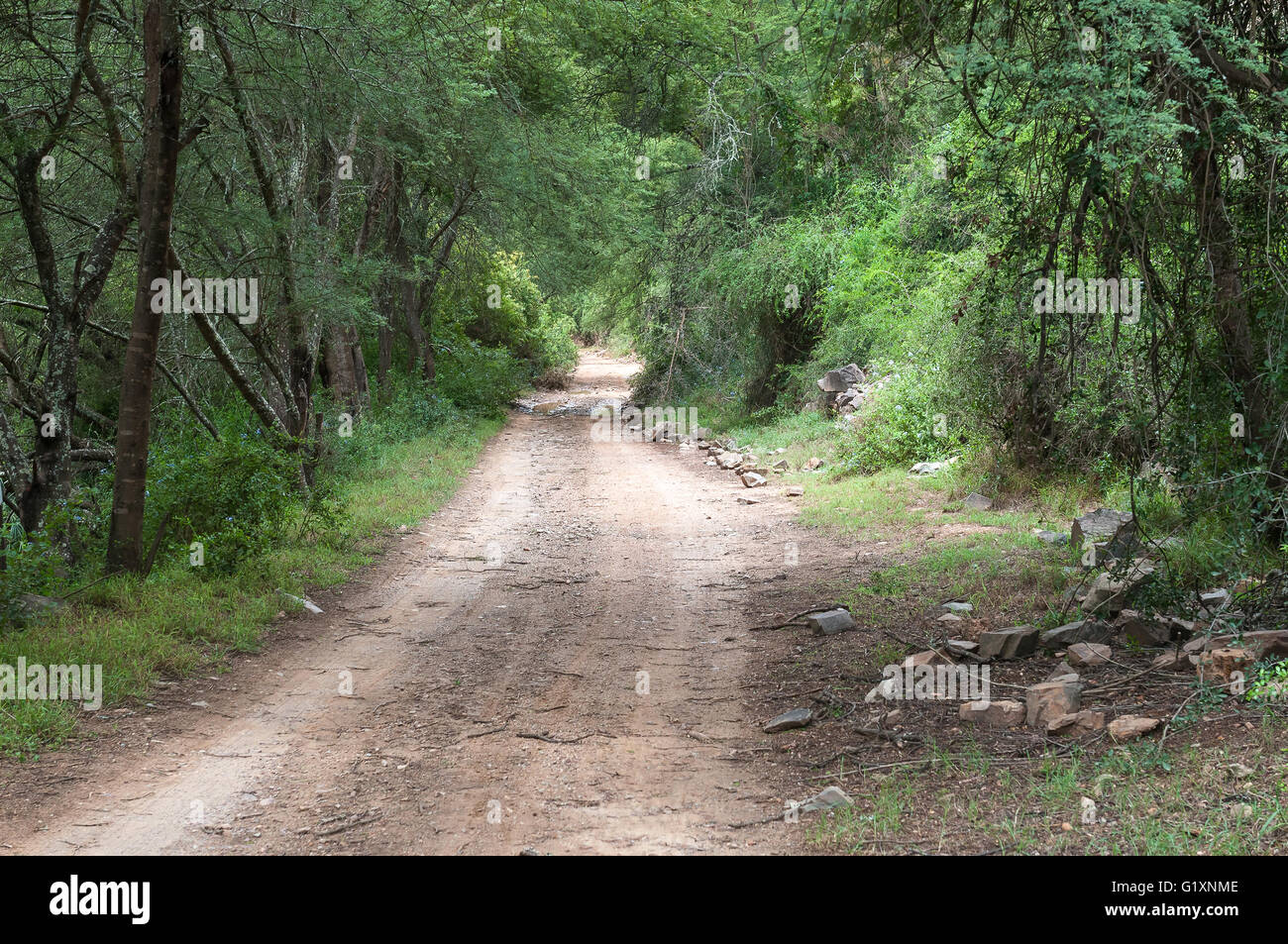 The road through the wilderness area in the Baviaanskloof (baboon ...