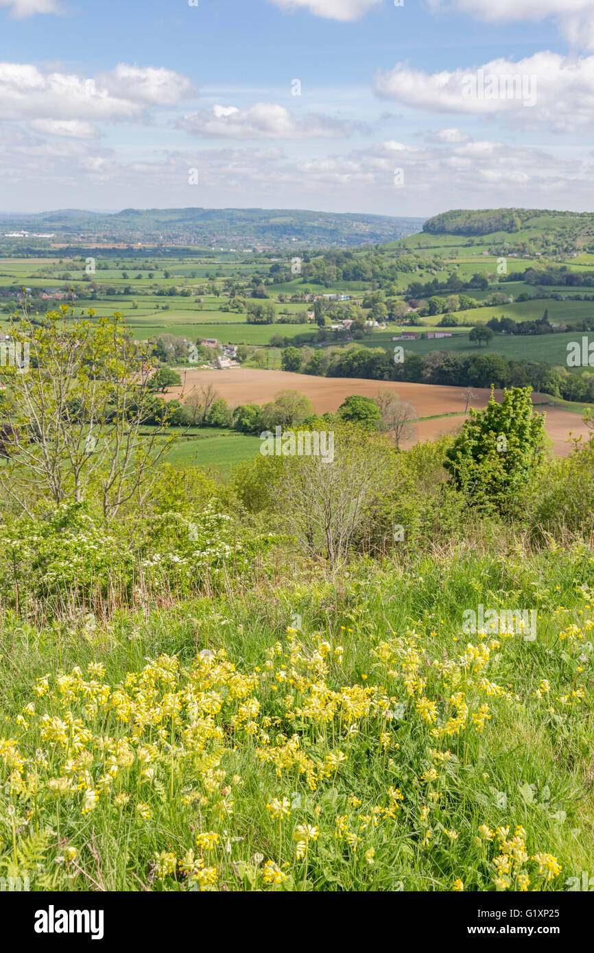 Cotswolds way hi-res stock photography and images - Alamy
