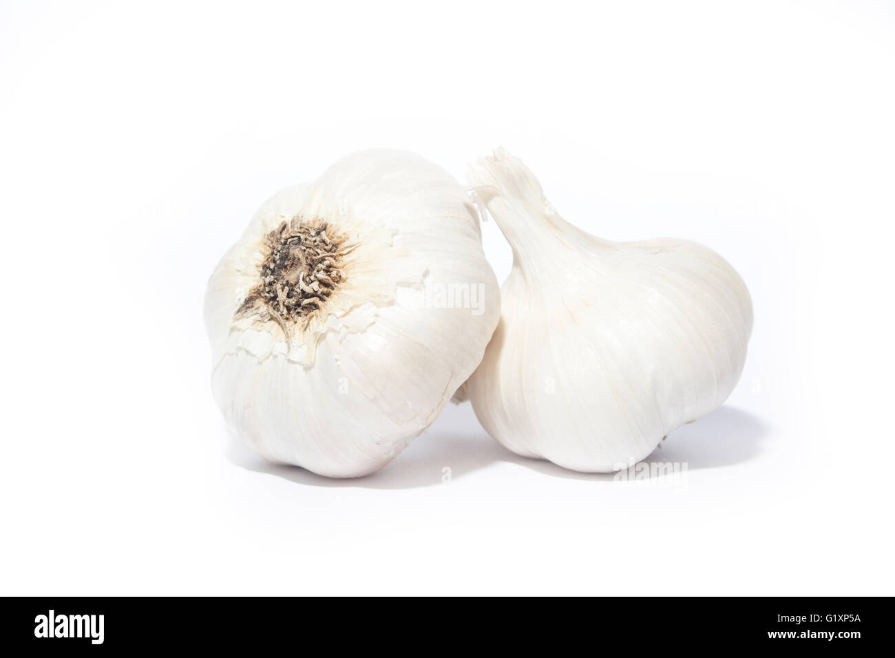 two garlic bulbs, garlic isolated on white background Stock Photo - Alamy