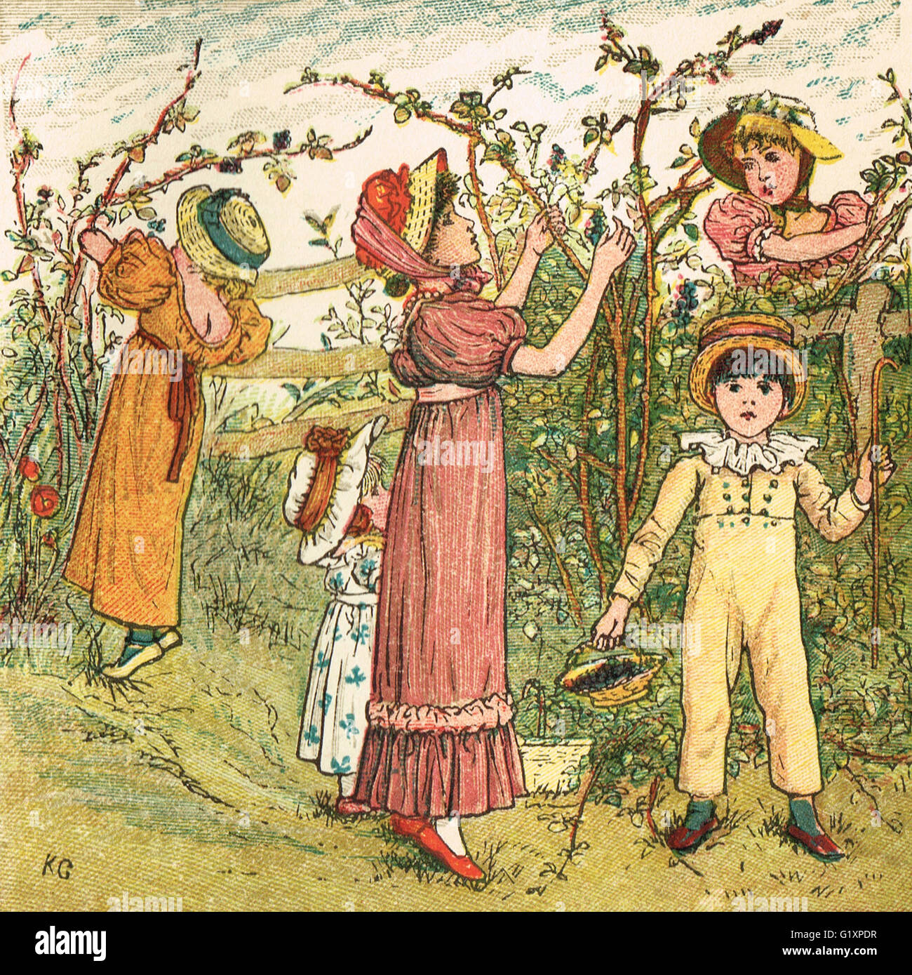 Young children picking berries by Kate Greenaway 1880 Stock Photo - Alamy