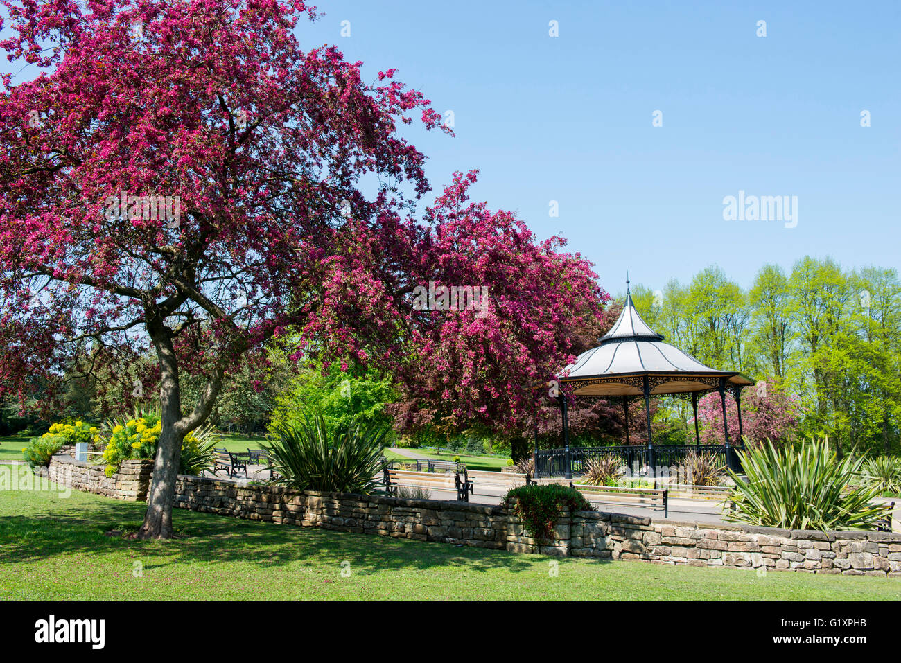 Carr Bank Park High Resolution Stock Photography and Images - Alamy