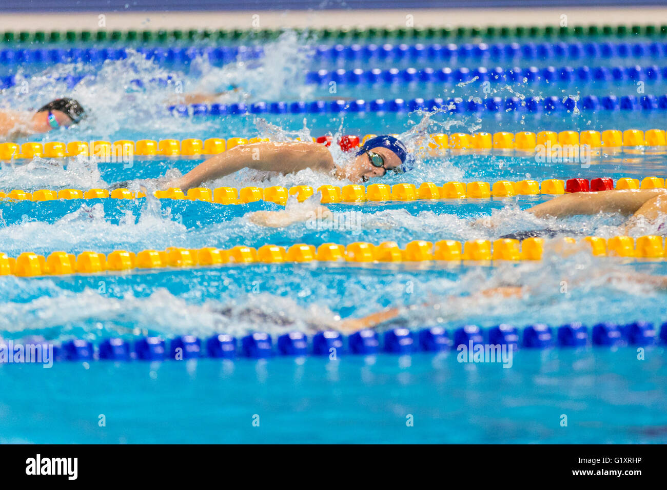 Aquatics Centre, London, UK. 19th May 2016. British swimmer Jazmin ...