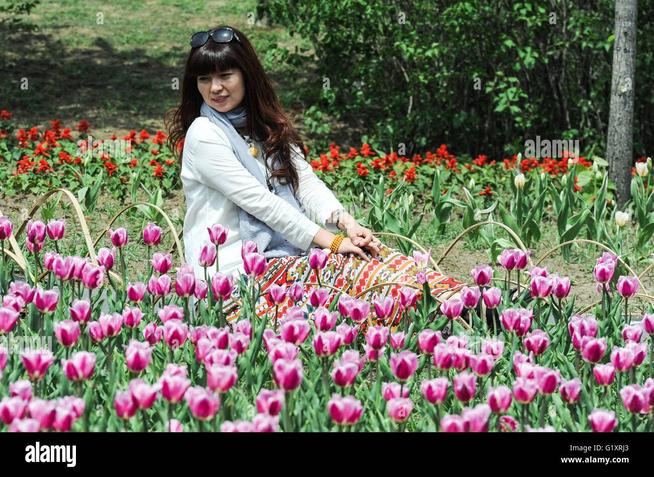 (160520) -- HARBIN, May 20, 2016 (Xinhua) -- A woman poses for pictures ...