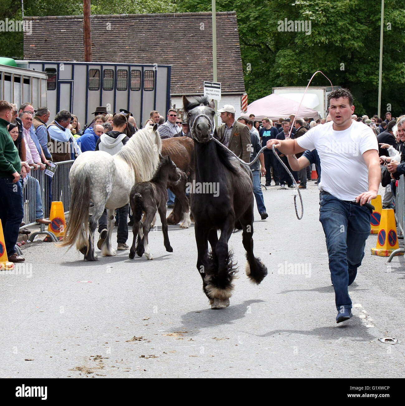 Wickham horse fair hi-res stock photography and images - Alamy