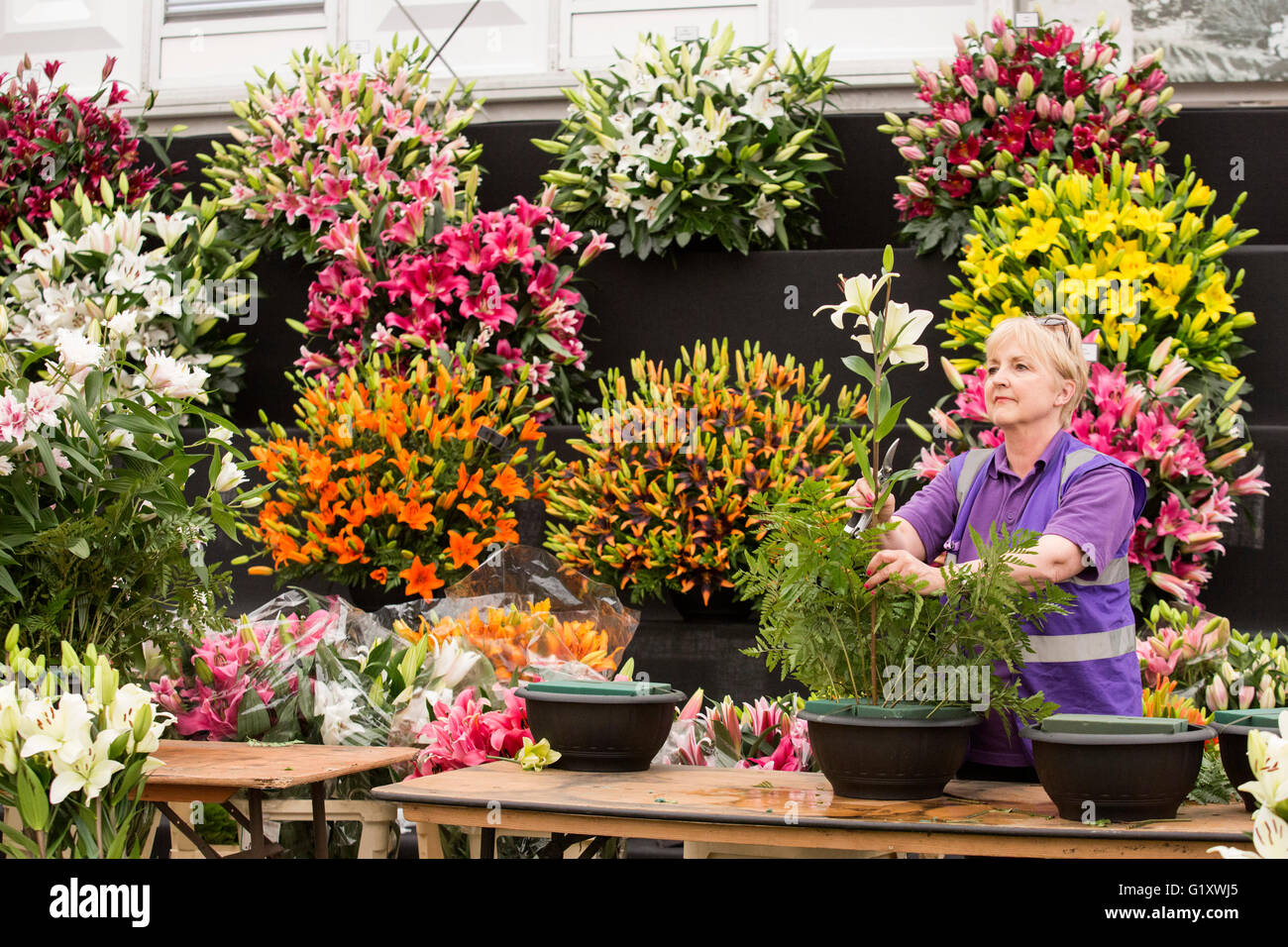 London, UK. 20 May 2016. Flower arranging. Preparations are under way ...