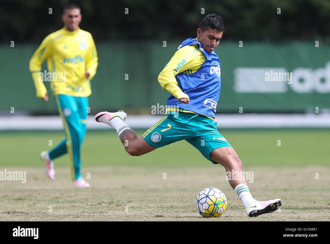 SAO PAULO, Brazil - 20/05/2016: TRAINING OF PALM TREES - Dudu player ...