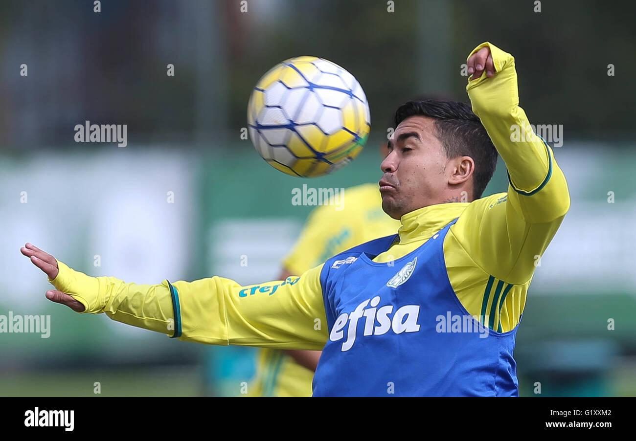 SAO PAULO, Brazil - 20/05/2016: TRAINING OF PALM TREES - Dudu player ...