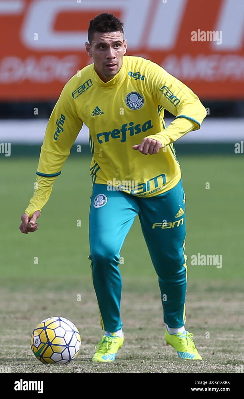 SAO PAULO, Brazil - 05/20/2016: TRAINING OF PALM TREES - Moses, player ...