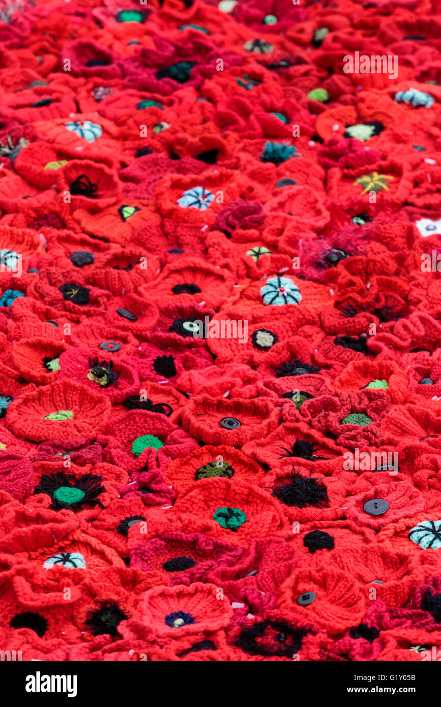 London, UK. 20 May 2016. Volunteers prepare the 5000 Poppies Project at ...