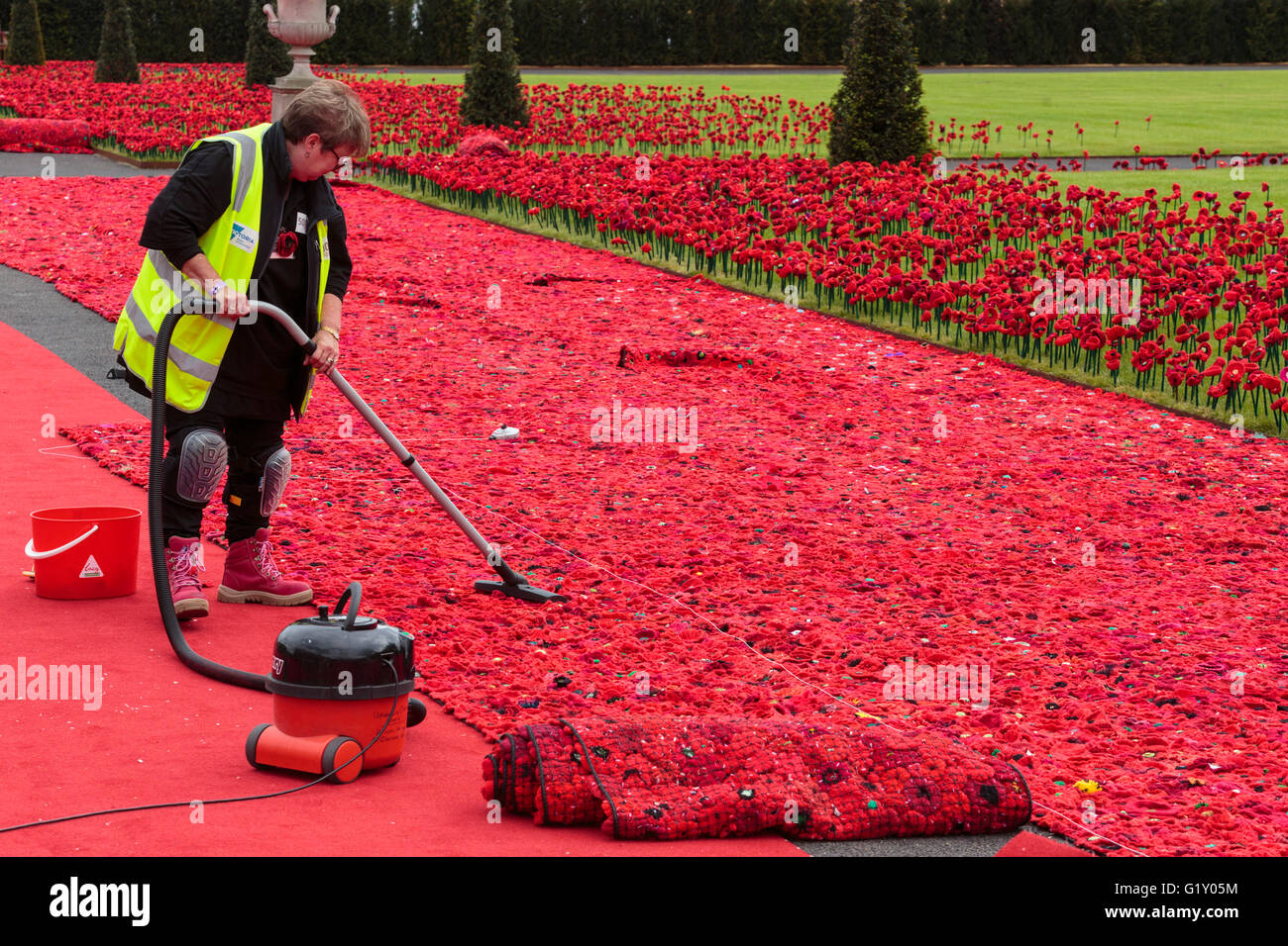 5000 poppies hi-res stock photography and images - Alamy