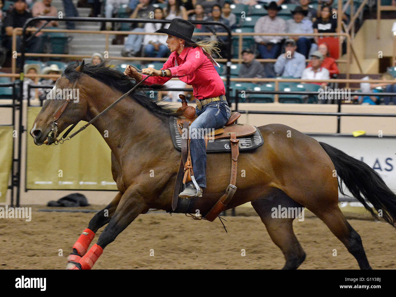 Albuquerque, NM, USA. 20th May, 2016. Eleven time world champion in ...