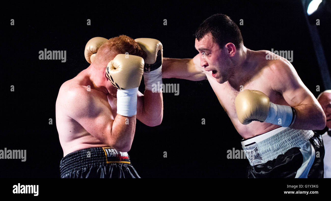 Spanish boxer hi-res stock photography and images - Alamy