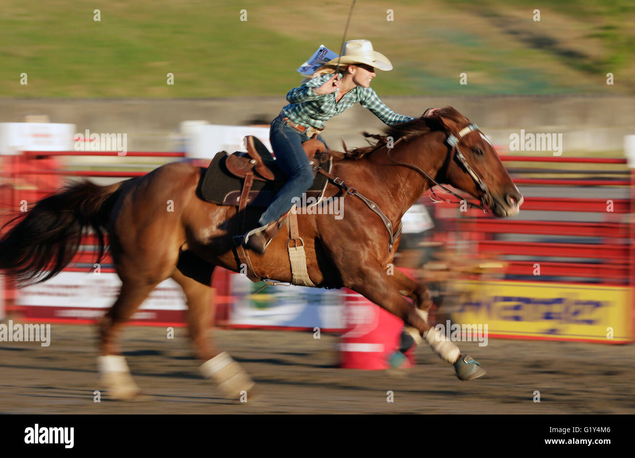 Cowgirls barrel racing hi-res stock photography and images - Alamy