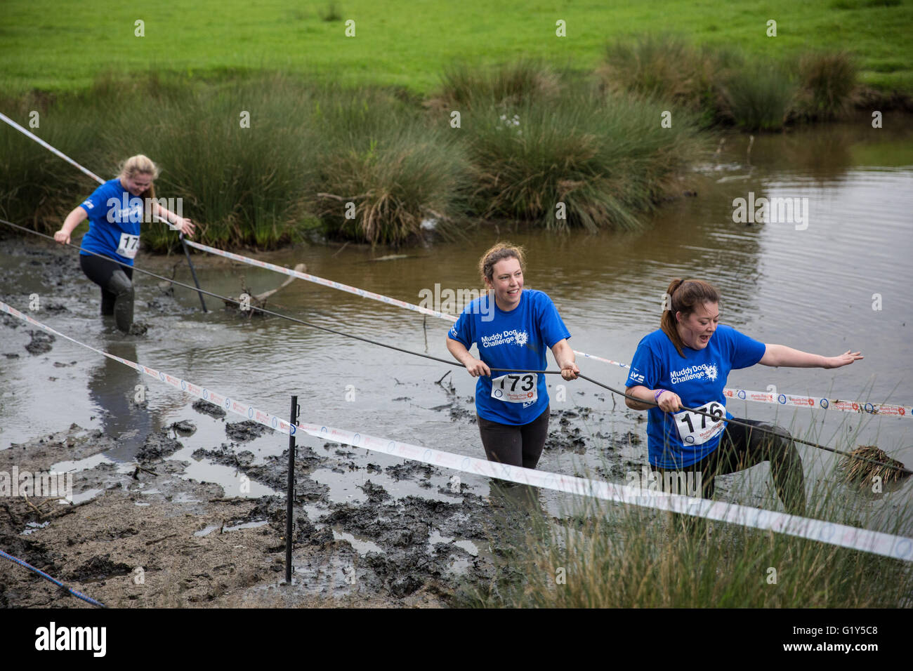 Wade through mud hi-res stock photography and images - Alamy