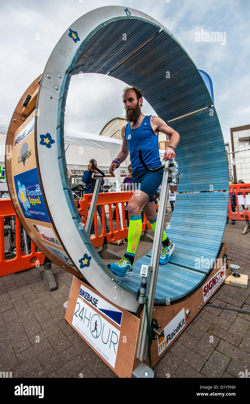 Human hamster wheel hi-res stock photography and images - Alamy
