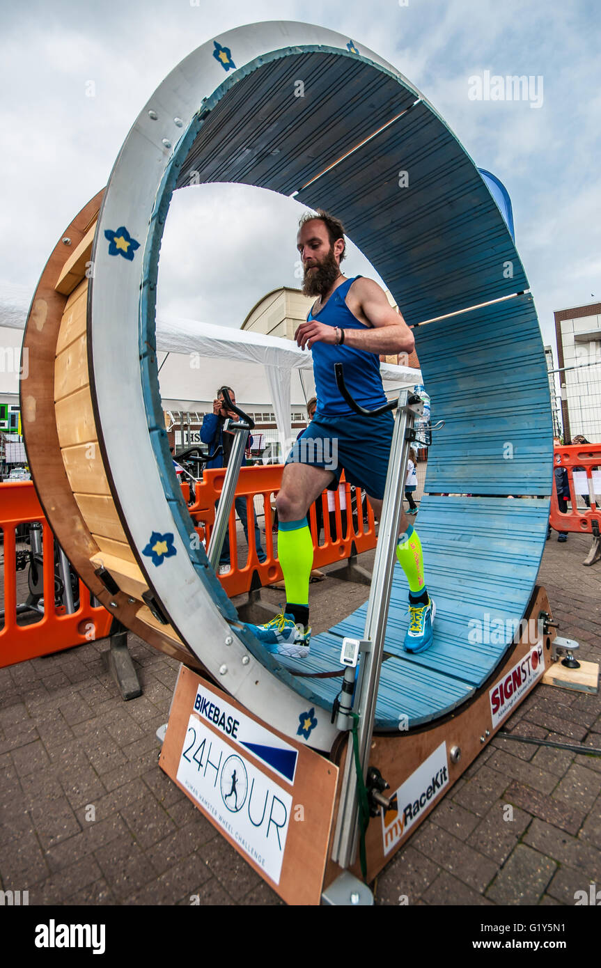 Human hamster wheel hi-res stock photography and images - Alamy