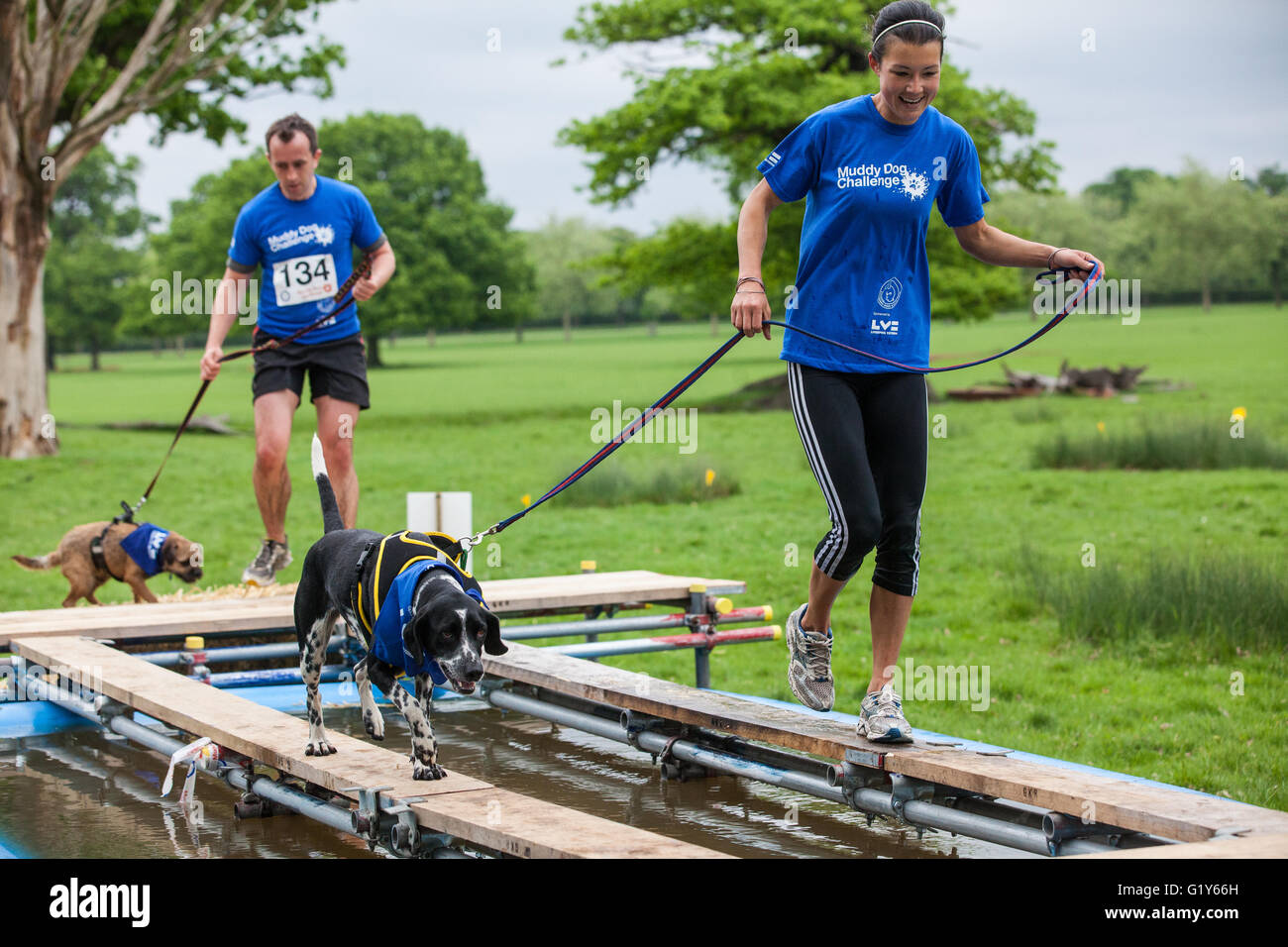 Windsor, UK. 21st May, 2016. Dogs and owners compete in the Muddy Dog ...